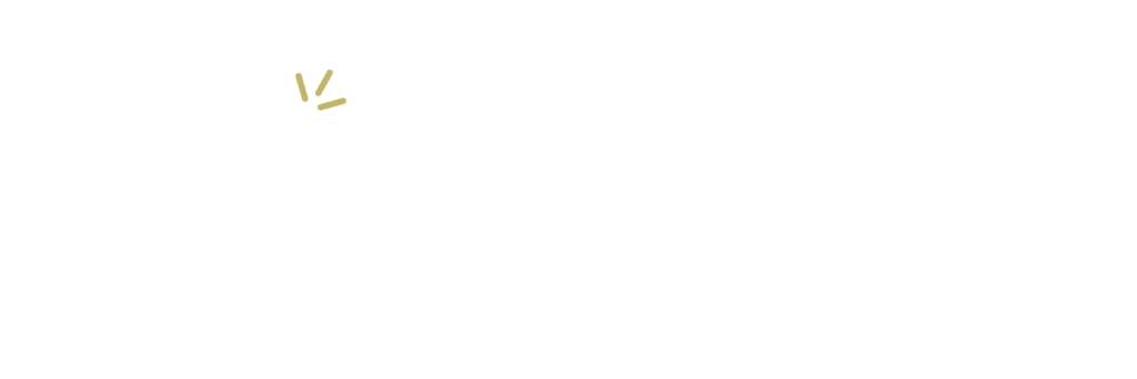 Snap Technologies - Home